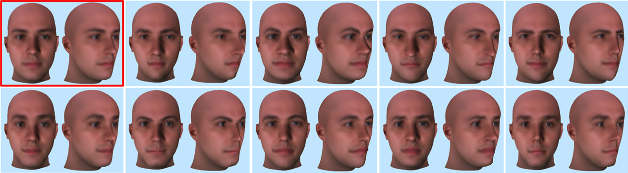 Yu Zhang's Region-Based Face Morphing Under Anthropometric Control